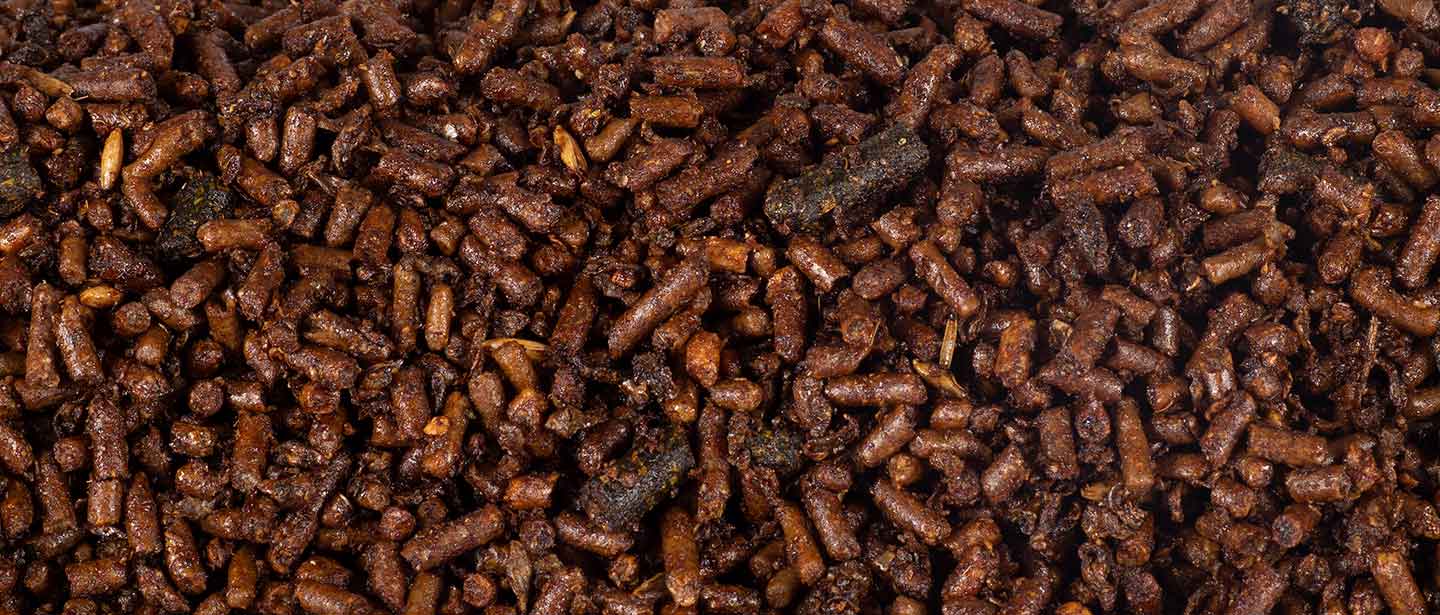 Wellness DynaSport® - Textured - Seminole Feed