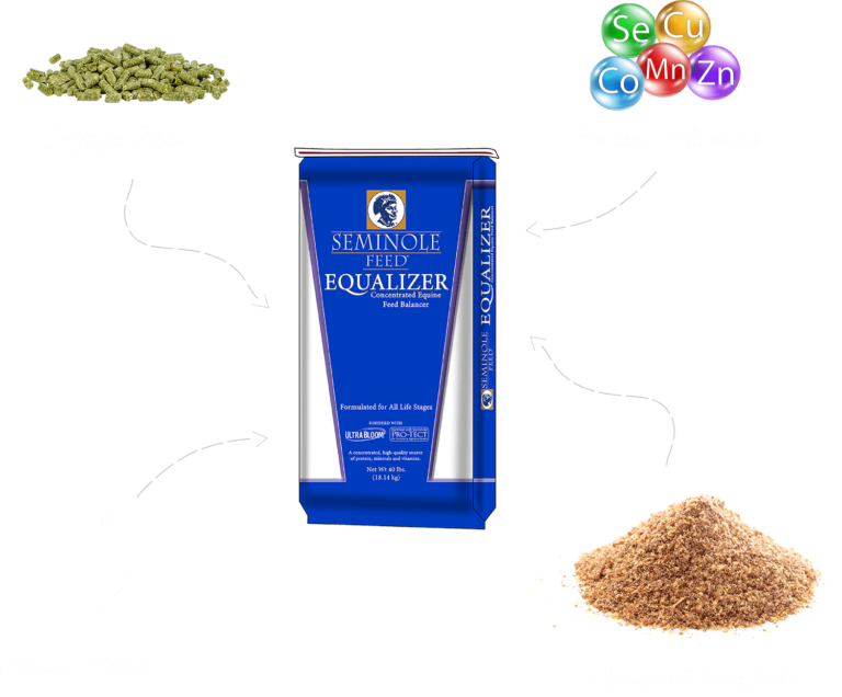 Seminole Feed | The World's Best Equine Feeds, since 1934!