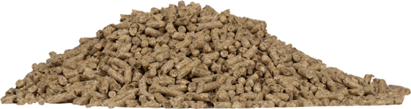 Seminole Feed | The World's Best Equine Feeds, since 1934!