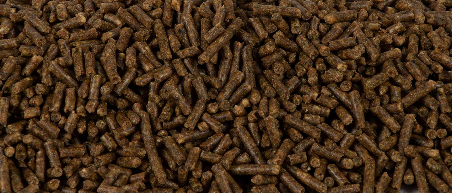 Equalizer - 40# Pellet - Seminole Feed