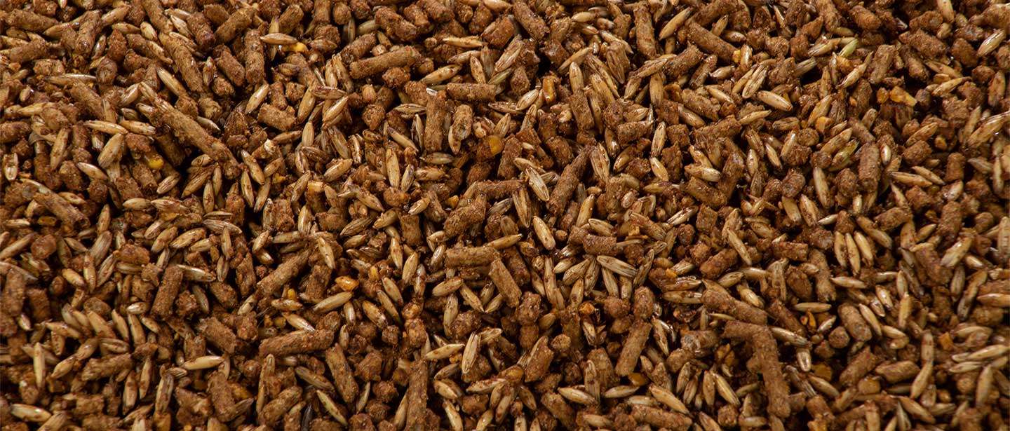 Mare & Foal - Textured - Seminole Feed