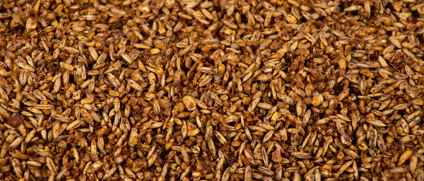 Osceola 10 Sweet - Textured - Seminole Feed