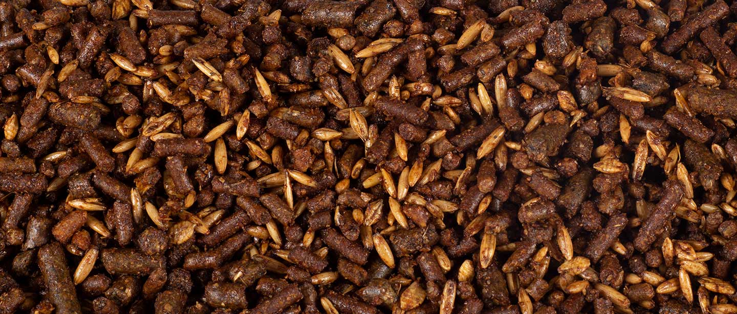 Wellness Show & Sport® - Textured - Seminole Feed