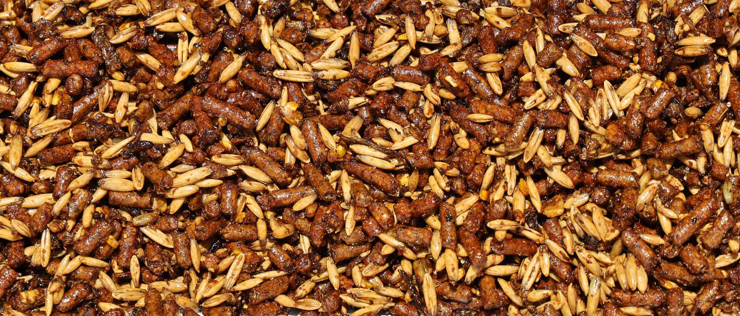 Xcelerace - Textured - Seminole Feed