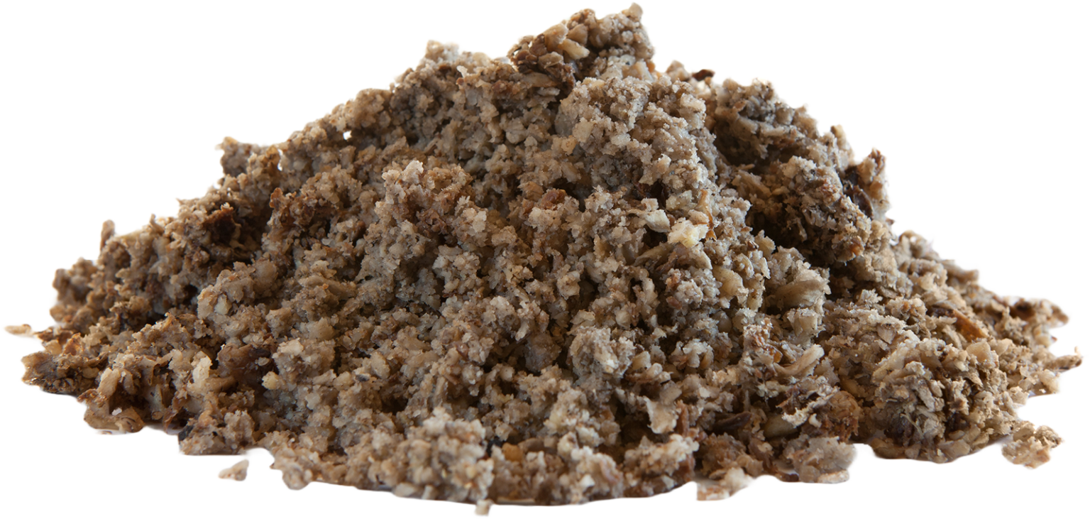 The Benefits of Beet Pulp for Horses - Seminole Feed